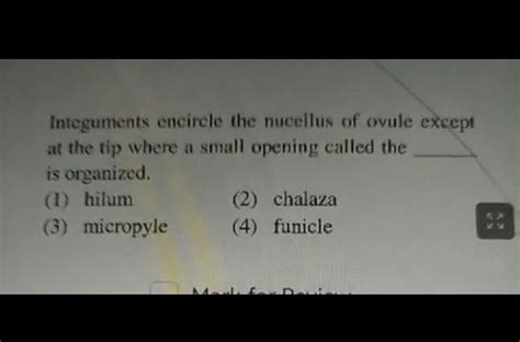 Integuments Encircle The Nucellus Of Ovule Except At The Tip Where A Smal