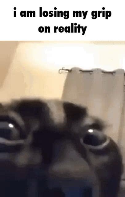 Average Physicistmathematician Rphysicsmemes