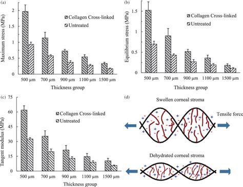 The A Maximum Stress B Equilibrium Stress And C Tangent Modulus Download Scientific