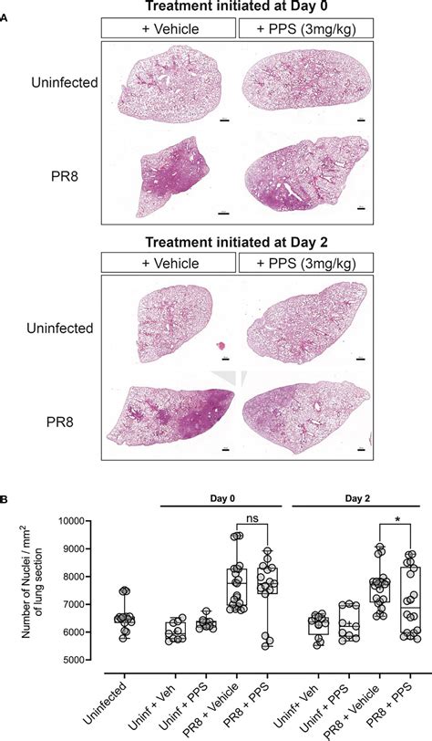 Frontiers Anti Inflammatory Actions Of Pentosan Polysulfate Sodium In