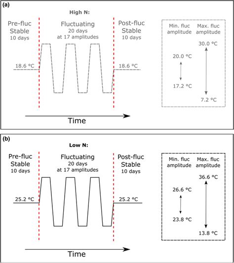 Schematic Timeline Of The Fluctuation Experiments Under A High N Download Scientific Diagram