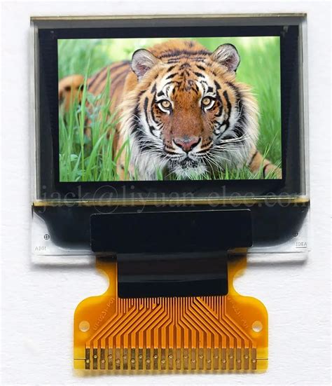 Inch X Full Color SSD Oled Pin Lcd Oled Display Screen Panel View