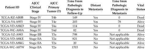 Clinical Data Of The Cancer Genome Atlas Tcga Patients Selected For