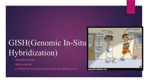 Genomic In Situ Hybridization Pptx Genetics Science