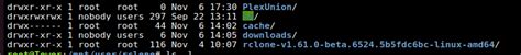 unraid rclone wont let me write to any of my folders help and support rclone forum