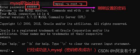 mysql无法成功启动服务的解决办法【通俗易懂】 mysql服务无法启动 csdn博客
