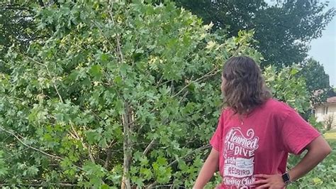 Homeowner Bewildered After Storm Reveals Unusual Sight In Backyard