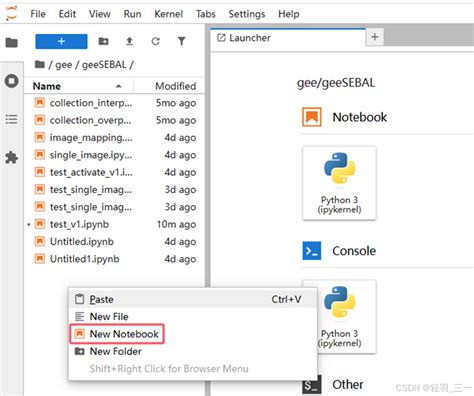 gee基于conda环境使用python版本（jupyter book） python调用gee csdn博客