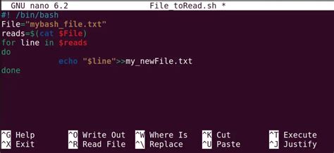 Bash For Each Line In File Its Linux Foss