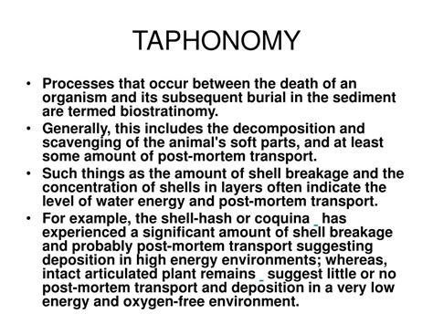 Ppt Fossilization Powerpoint Presentation Id274258