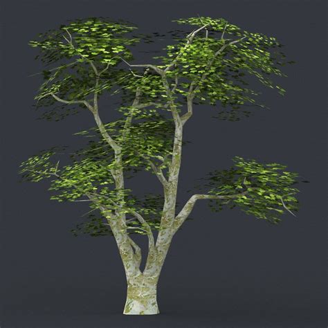 Tree 04 3d Model By Cganimalworld