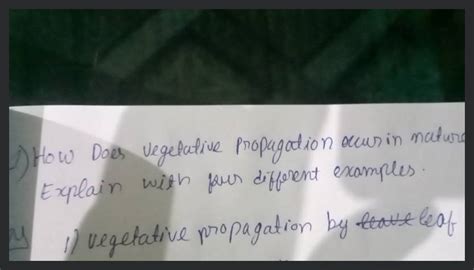 How Does Vegetative Propagation Occur In Nature Explain With Four Differe