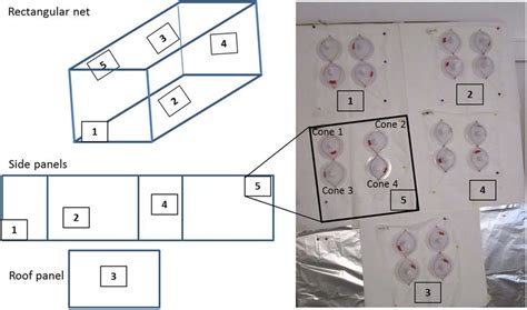 Recommended Positions From Which Netting Pieces Should Be Taken And