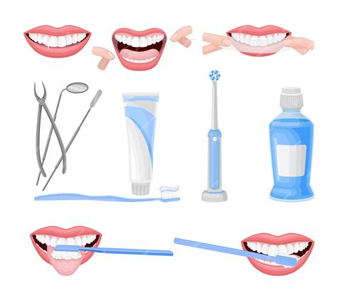 Premium Vector Toothbrush And Toothpaste For Oral Hygiene With Teeth