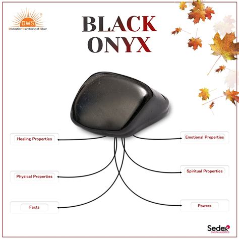 Black Onyx Revealing Meaning Healing Facts Attributes Uses