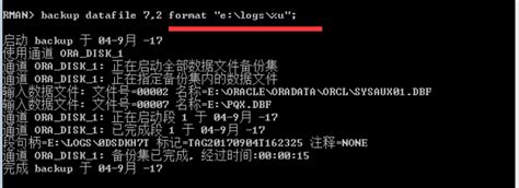 rman备份与恢复 rman备份恢复 csdn博客
