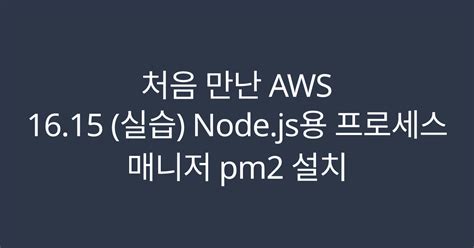 문서 처음 만난 Aws 실습 Nodejs용 프로세스 매니저 Pm2 설치 Frontoverflow