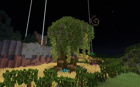 Do You Think Will See More Species Of Tree For Whispy Woods R Kirby