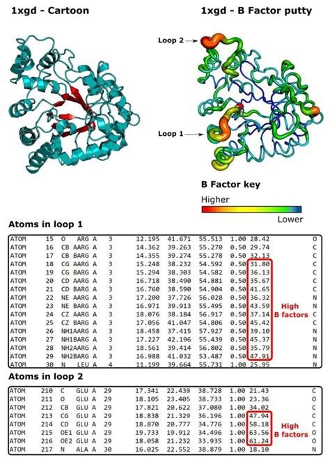 Protein Data Bank Files An Effortless Way To Get More Data