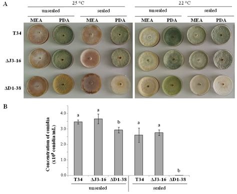 Jof Free Full Text Trichoderma Harzianum Volatile Organic Compounds