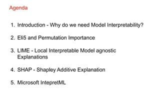 Interpretable ML PPT