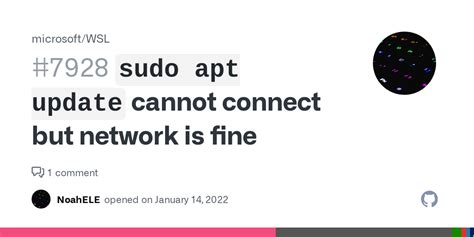 Sudo Apt Update Cannot Connect But Network Is Fine Issue Microsoft WSL GitHub