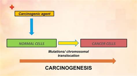 Carcinogens Presentation Ppt Introduction Of Carcinogens And Types Of Carcinogens Physical