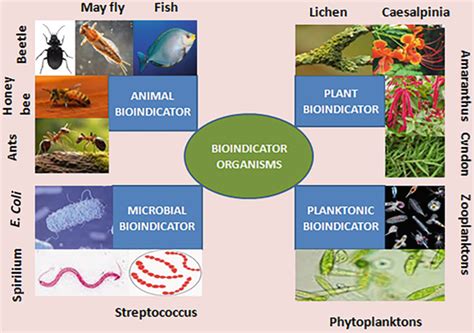 Environment Degradation And Threats To Living Beings Springer Nature Link