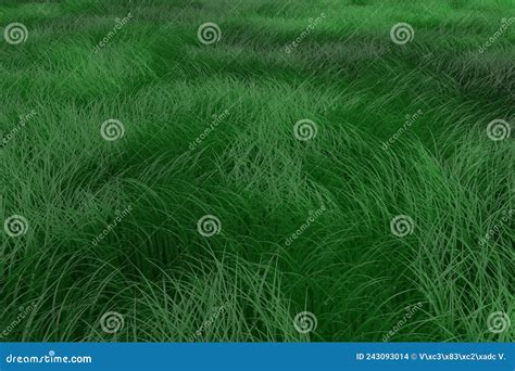 Green Grass Background 3d Render Grass Stock Illustration