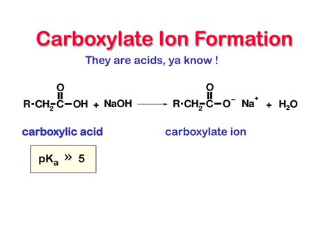 Ppt Carboxylic Acids Powerpoint Presentation Free Download Id9353531