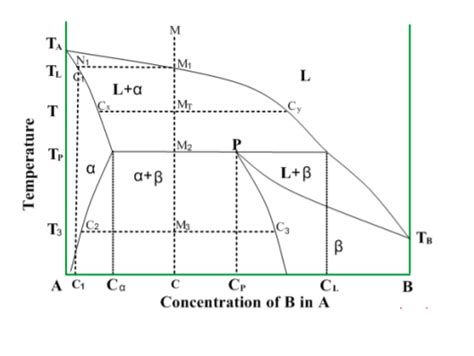 The Binary Phase Diagram Shown On The Next Page Is Chegg Com