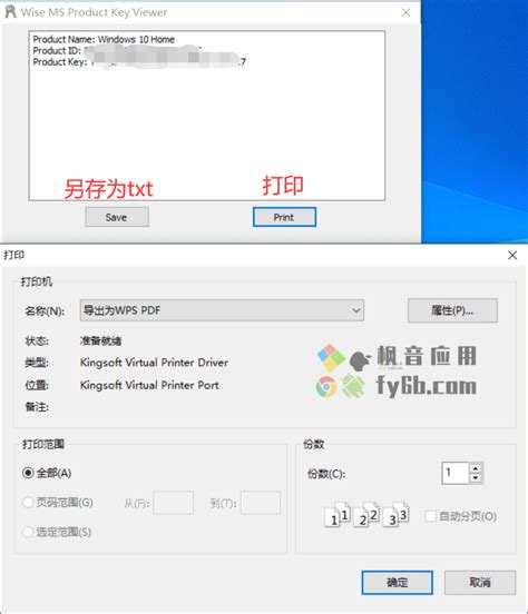 Windows Wise Windows Key Finder 微软产品密钥激活码查询工具 V1 0 2 绿色便携版 枫音应用