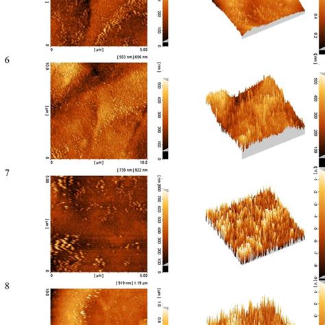 Afm Results For The Coating Based On Nanoparticles A Bare Sample B