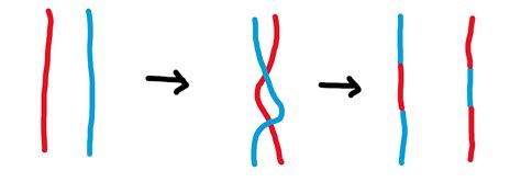 Basic Genetic Algorithm 유전 알고리즘 입문 예제 By Choi Jeong Heon 슬기로운 개발생활 Medium