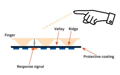 Capacitive Fingerprint Sensing Architecture Download Scientific Diagram
