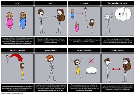 Gender Terminology Storyboard By Ro Examples