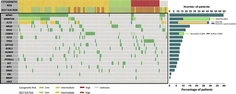 Mutation Distribution Clinically Relevant Variants Per Gene And