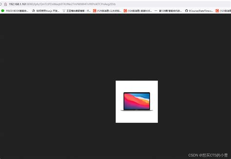 Vue2 结合 Ipfs 星际文件系统实现文件上传ipfs Vue Csdn博客