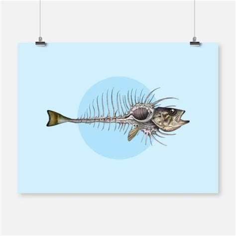 Shell Fish Blue Orange Art