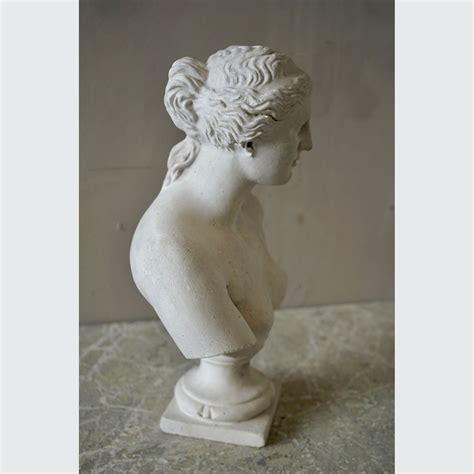 French Plaster Bust Of Venus De Milo Archipro Nz