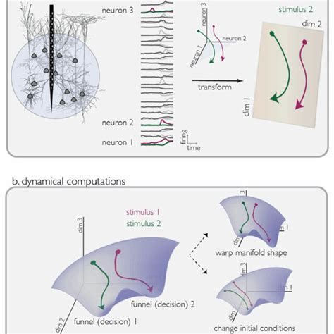 a schematic of population analysis of neural activity showing
