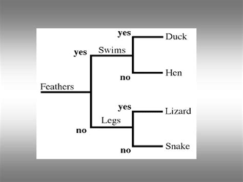 Binomial Classification Of Animals And Taxonomy Ppt Biological Sciences Science