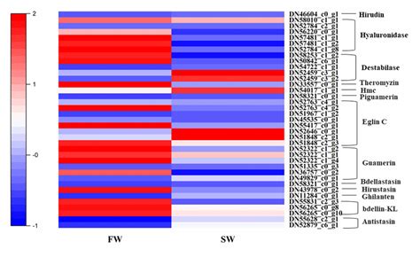 Heat Map Of Gene Expression Related To Anticoagulation And