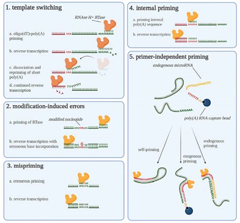 Artifacts And Biases Of The Reverse Transcription Reaction In Rna Sequencing