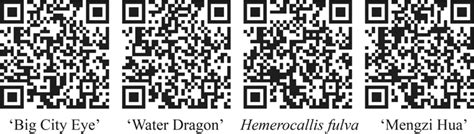 2d Barcodes Constructed Based On Amplification Results Using Seven