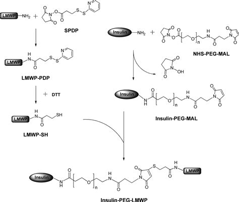 The Use Of Low Molecular Weight Protamine Chemical Chimera To Enhance