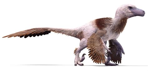 Tyrannosaurus Rex Male Damir G Martin Artofit