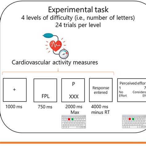 Schematic Depiction Of The Protocol Download Scientific Diagram