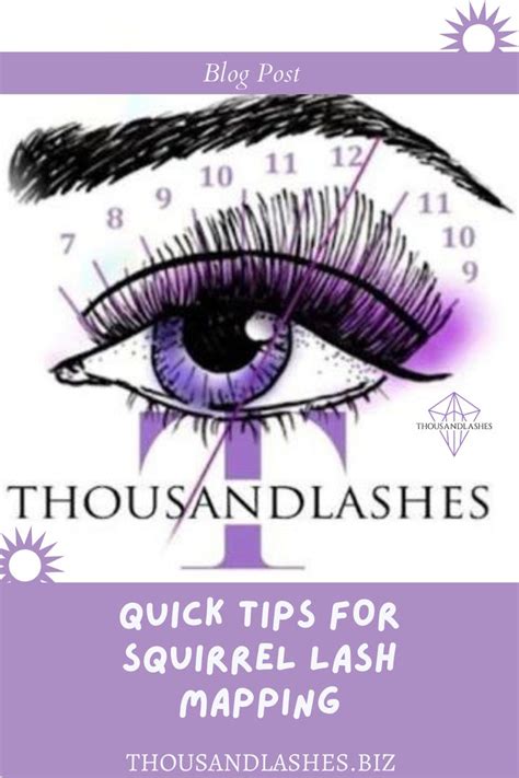 Quick Tips For Squirrel Lash Mapping Lashes Eyelashes Eyelash