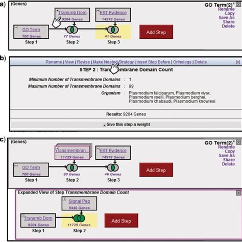 Creating Nested Strategies Clicking On The Icon In Step 2 Of The Download Scientific Diagram